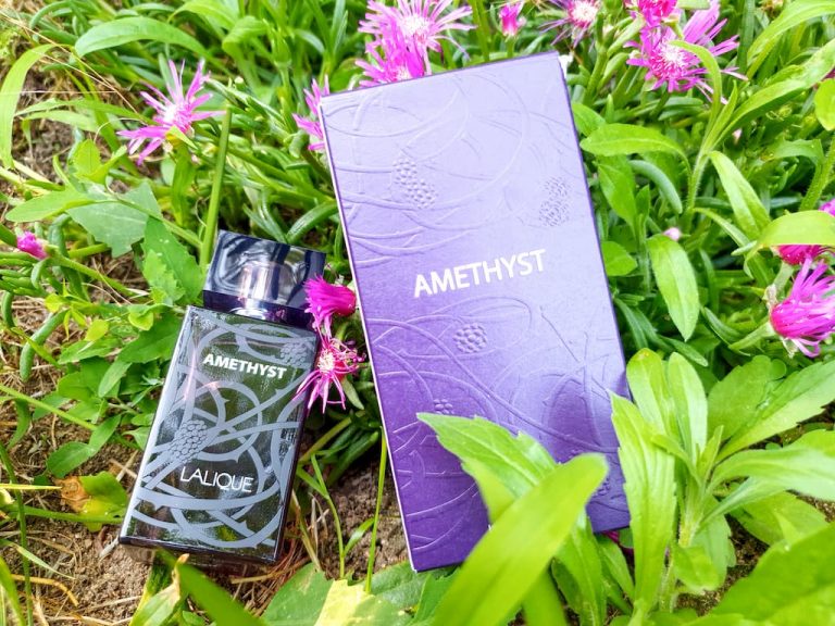 L'élégance des notes de fruits rouges avec le parfum Amethyst Lalique